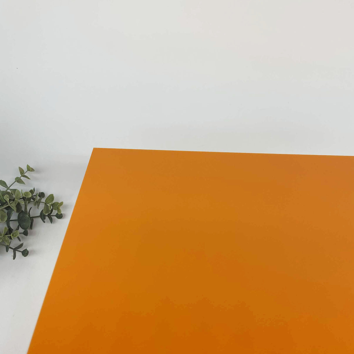 Squash - Essentials Cast Acrylic Sheets 1133 – Blanks Blanks Baby